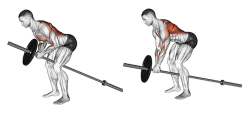 Zásobník cvikov na chrbát. Najlepšie cviky pre budovanie svalov chrbtu ...