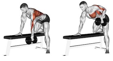 Cviky na záda a mezilopatkové svaly | Fitness007.cz | Fitness007.cz